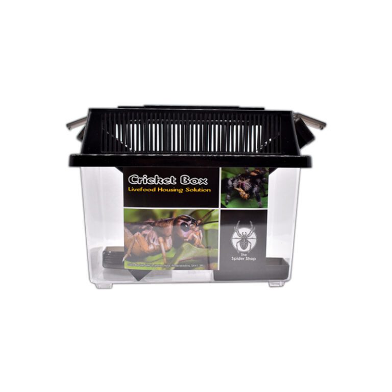 Cricket Box - The Spider Shop