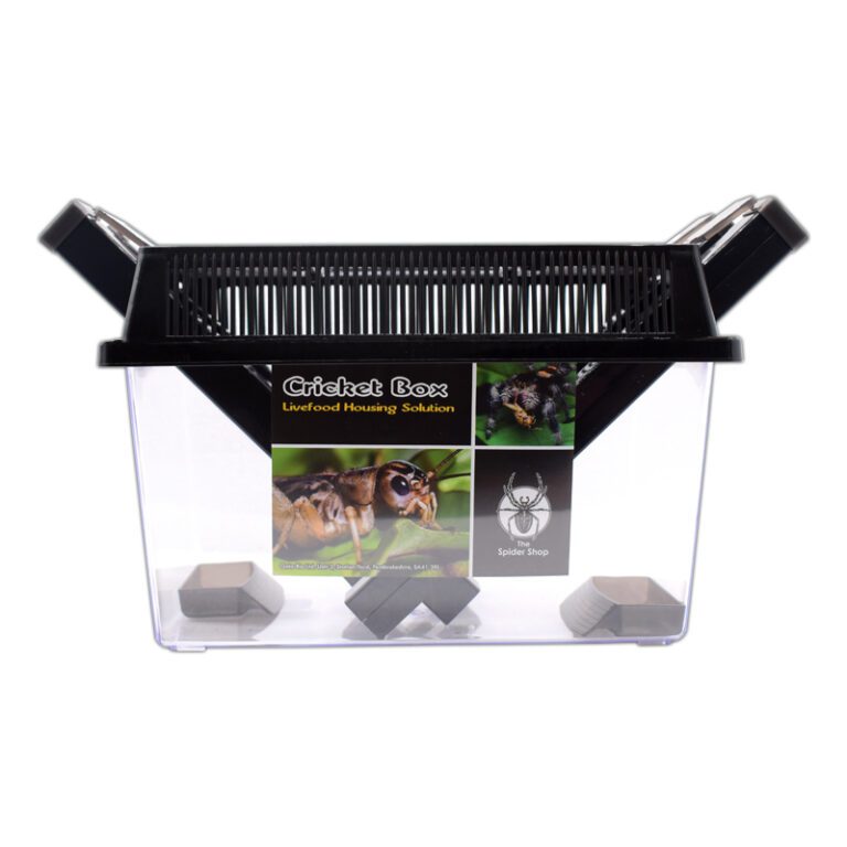 Starter Kits - The Spider Shop