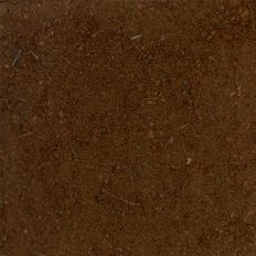 Terra Spider - The Spider Shop