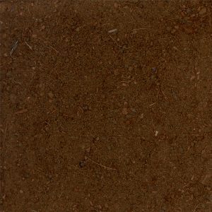 Terra Spider - The Spider Shop