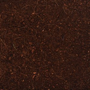 Terra Spider - 8ltr - The Spider Shop