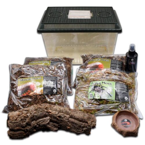 Starter Kits - The Spider Shop