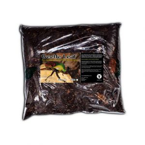 Equipment - The Spider Shop