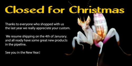 The Spider Shop - The Spider Shop