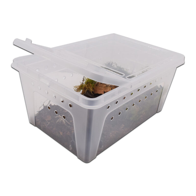 Plastic Terrariums - The Spider Shop