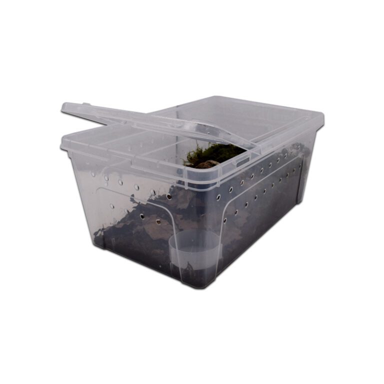 Plastic Terrariums - The Spider Shop