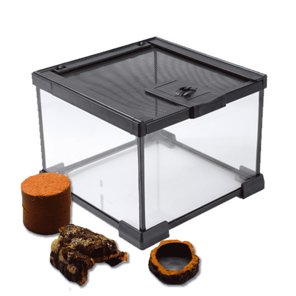 Starter Kits - The Spider Shop